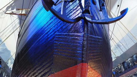 Frammuseet i Oslo - Oslo Skadedyrkontroll